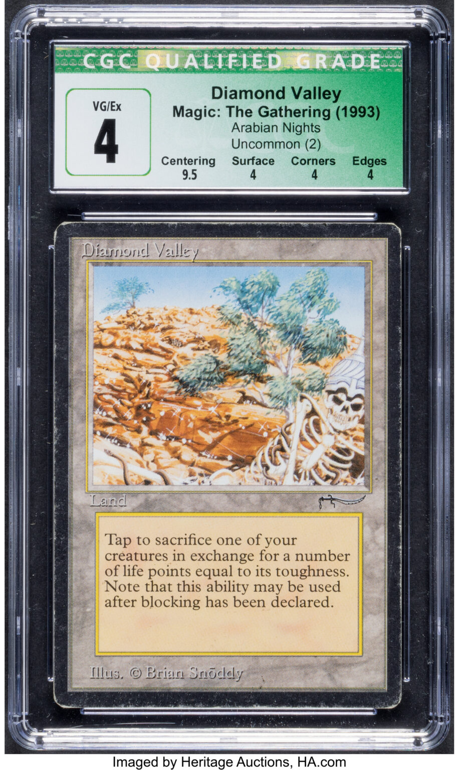 Diamond Valley Arabian Nights Magic the Gathering | MTG Trading Cards