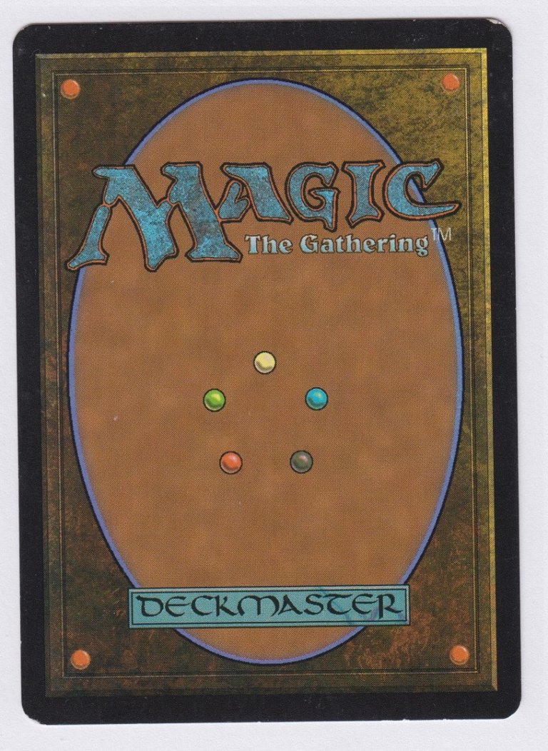 FOIL Flooded Strand FBB FBB | Foreign Black Border MTG